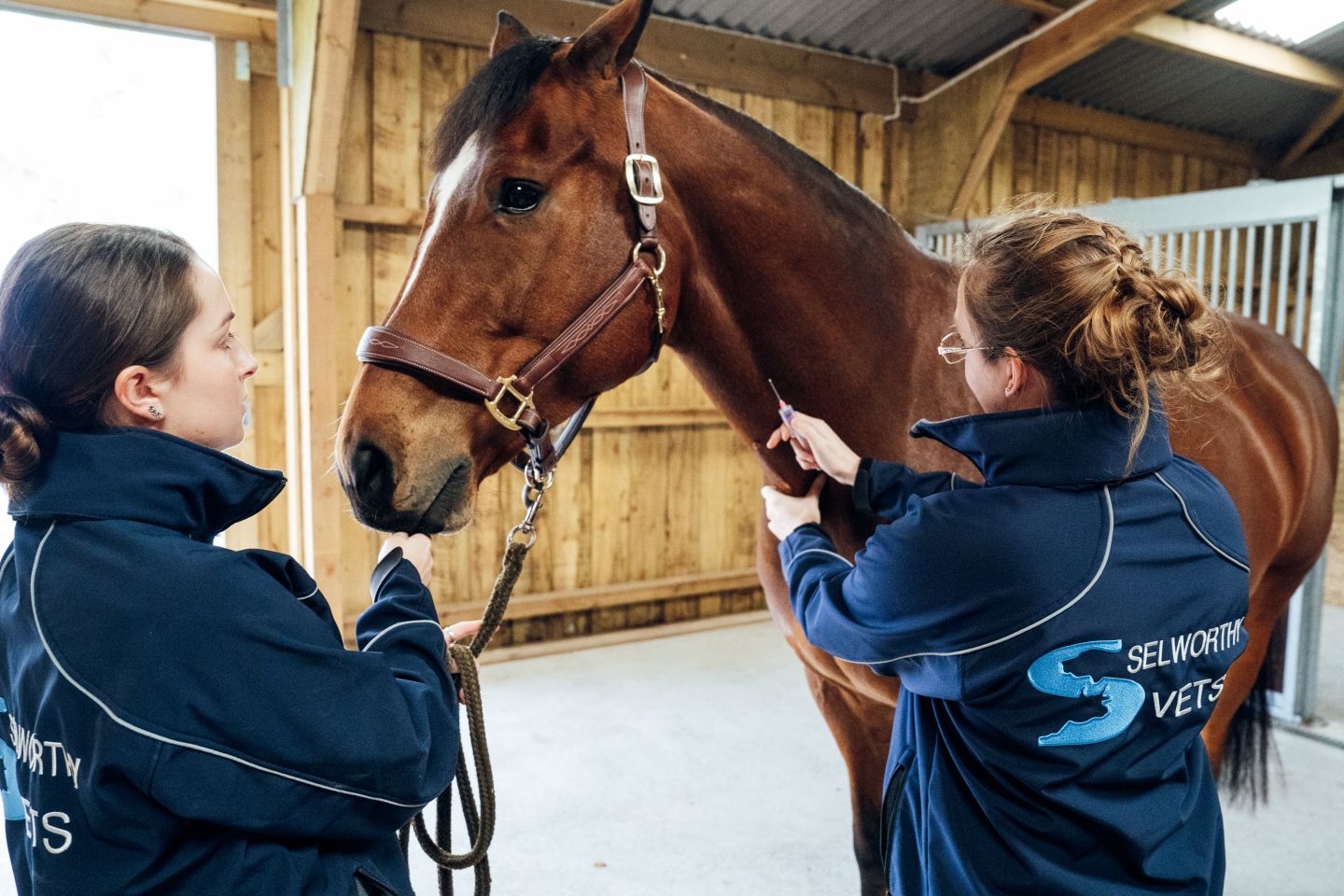 Selworthy Equine Vets | Local independent equine practice based in ...